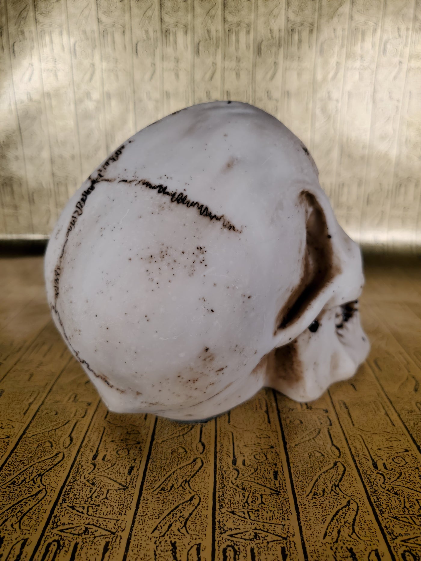Cyclops Skull – Son Of The Pharaoh